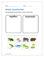 Animal classification worksheet for grade 1 | Planetspin.in