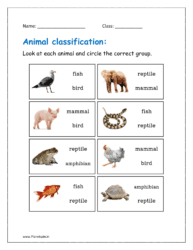 Mammal reptile amphibian bird fish worksheet | Planetspin.in