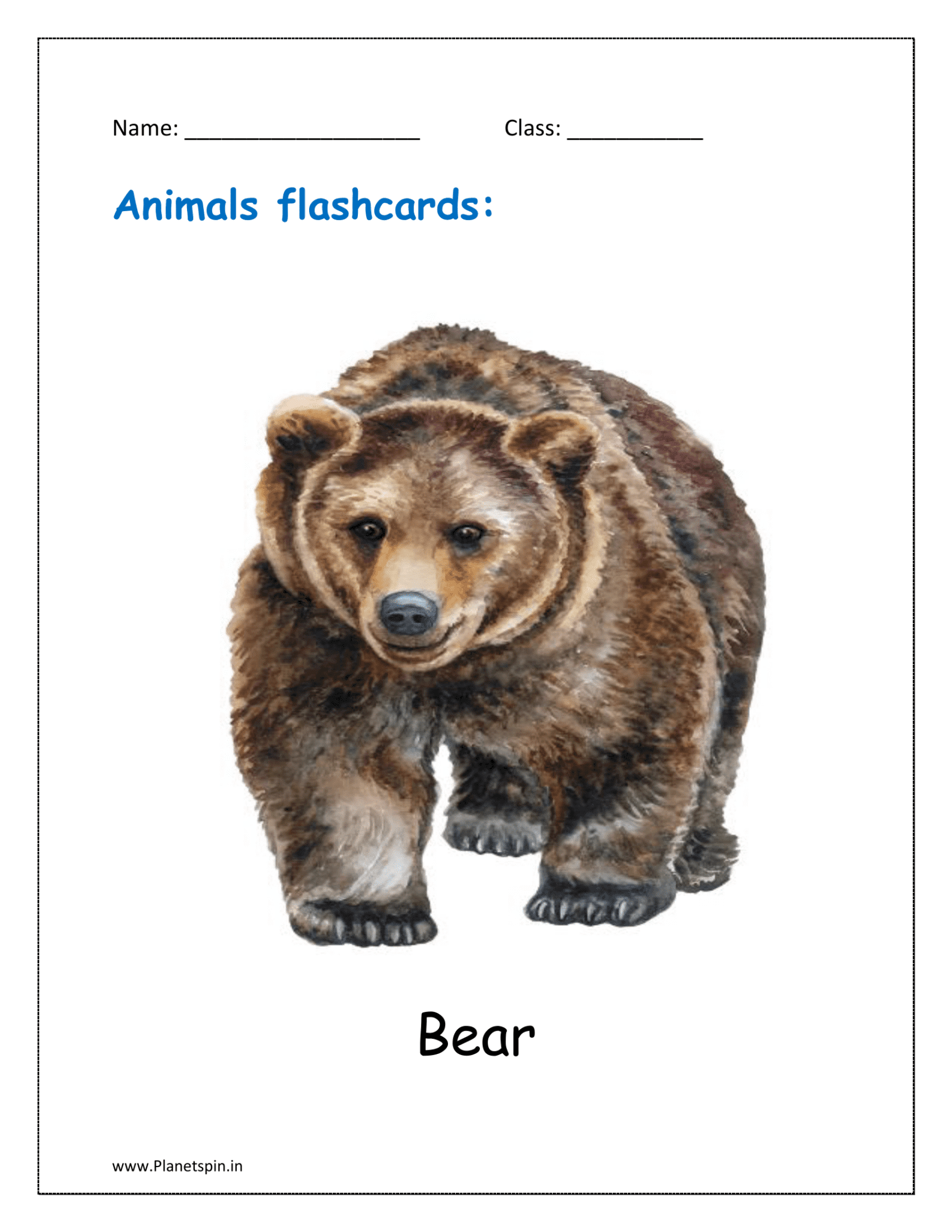 Animal flash cards for kindergarten | Planetspin.in