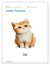 Animal flash cards for kindergarten | Planetspin.in