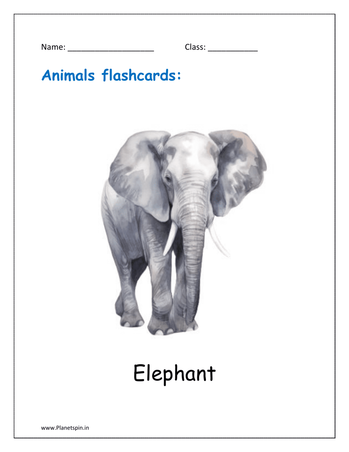 Animal flash cards for kindergarten | Planetspin.in