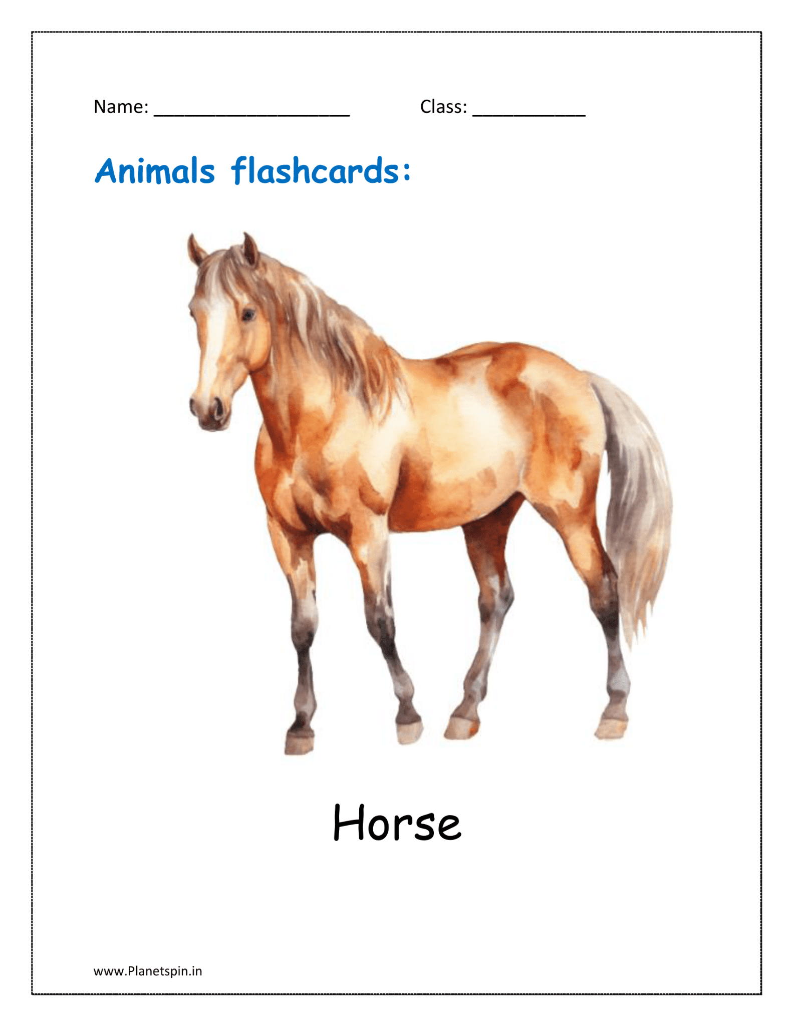 Animal flash cards for kindergarten | Planetspin.in