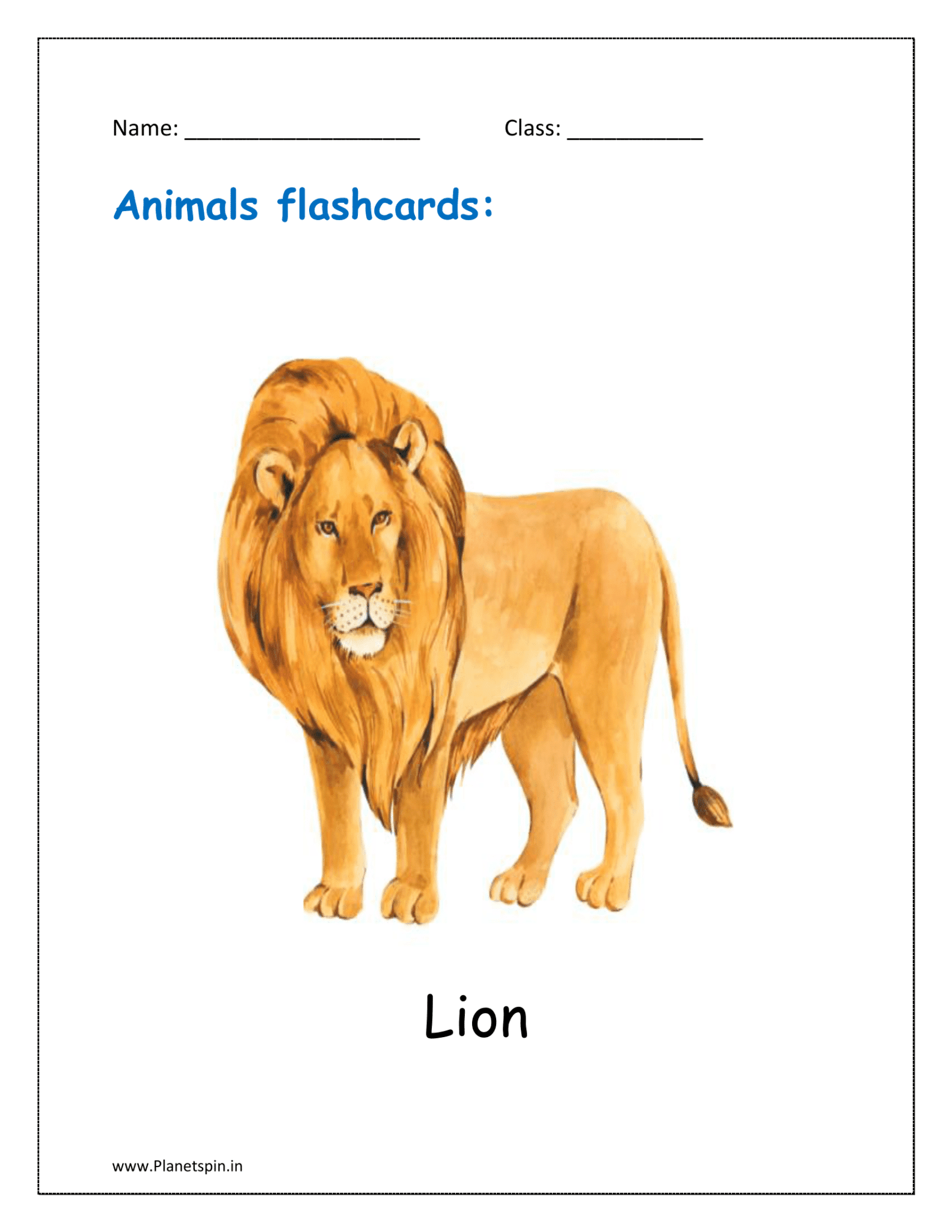 Animal flash cards for kindergarten | Planetspin.in