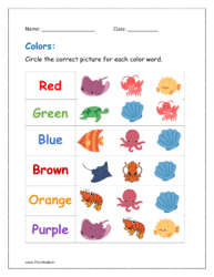 Color words worksheets for kindergarten | Planetspin.in
