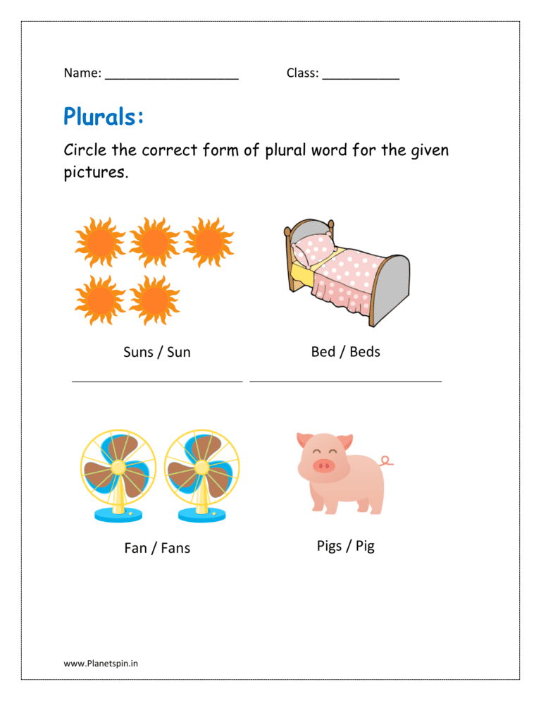 Singular and plural words worksheet | Planetspin.in