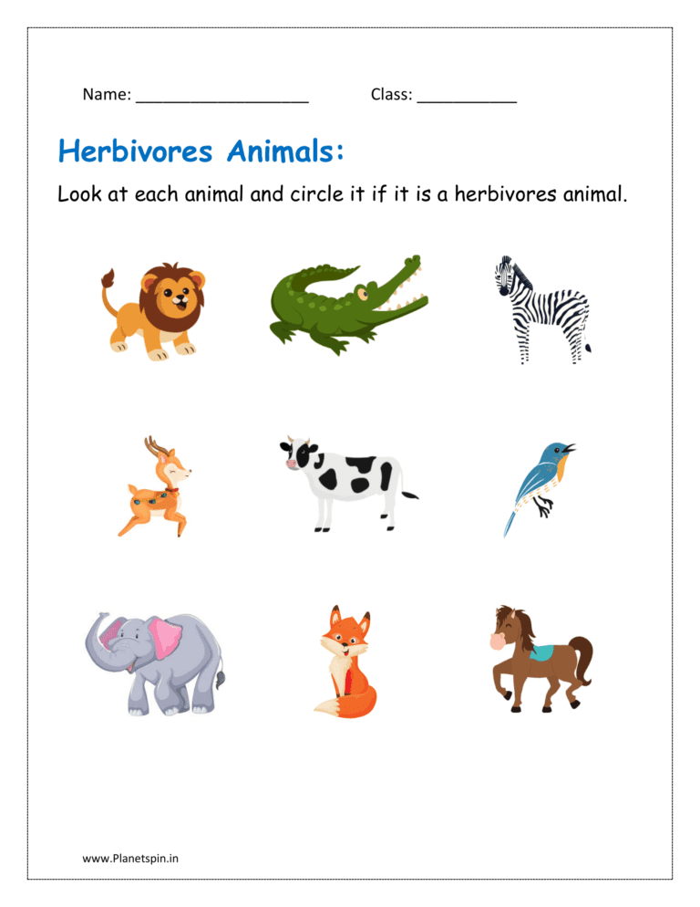 Herbivores animals worksheet for grade 1 | Planetspin.in