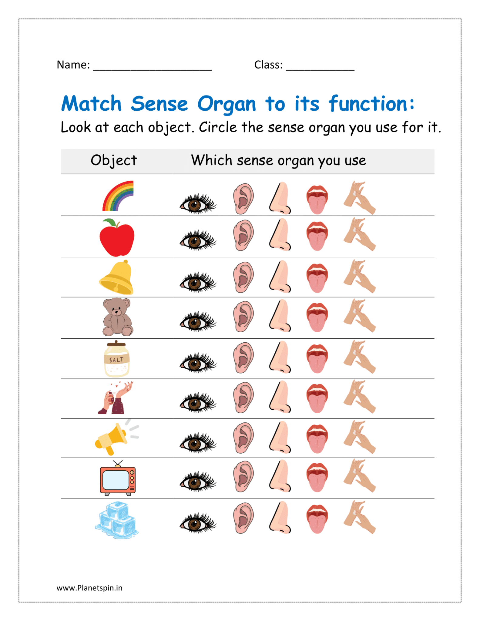 5 Sense organs worksheet for kindergarten | Planetspin.in