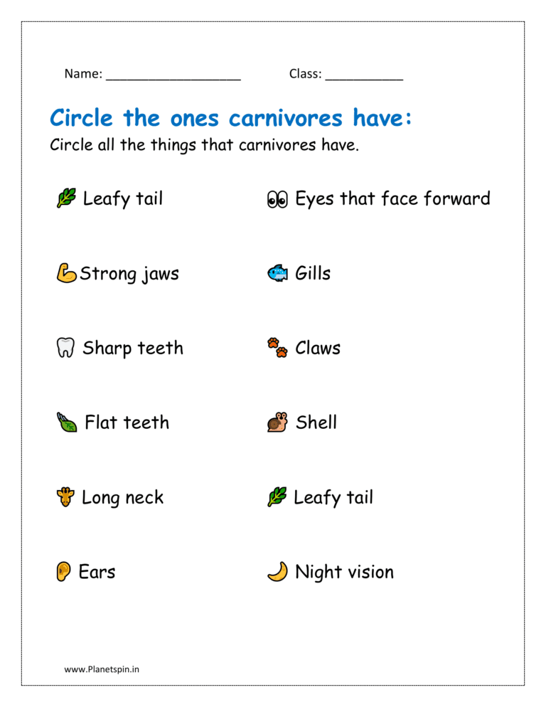 Carnivore worksheet for grade 1 pdf | Planetspin.in