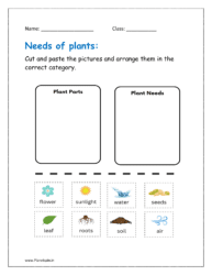 Needs of plants worksheet for kindergarten | Planetspin.in