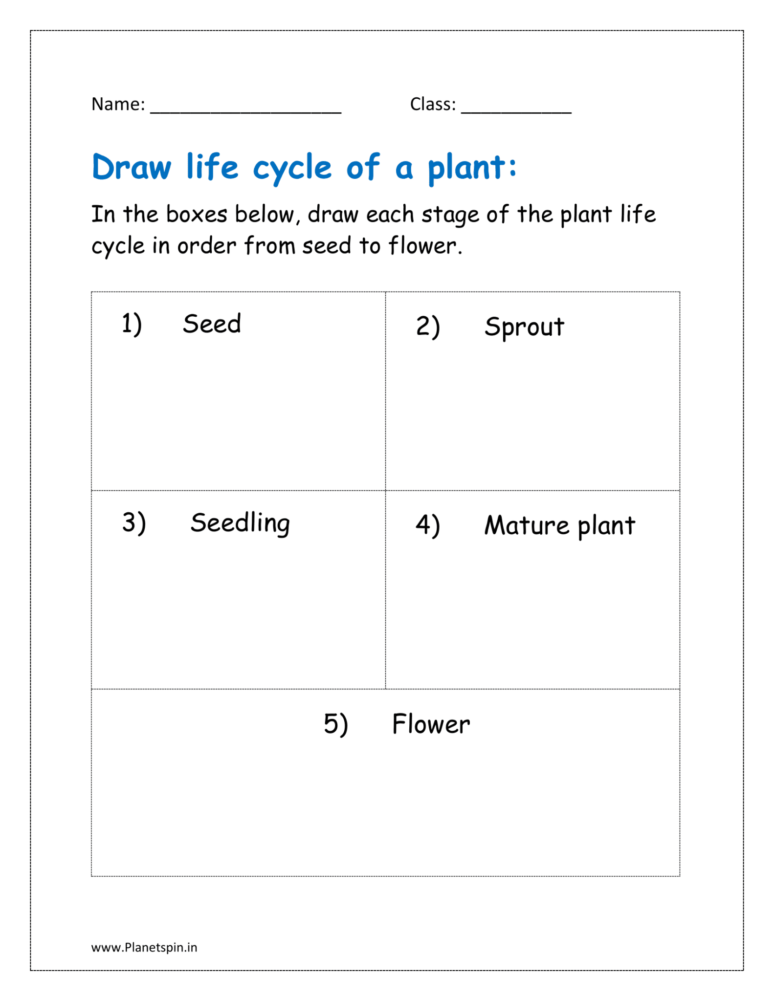 Life cycle of a plant worksheet for kindergarten | Planetspin.in
