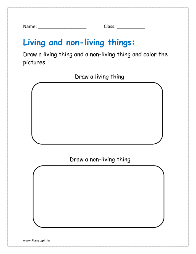 Living and non living things worksheet | Planetspin.in