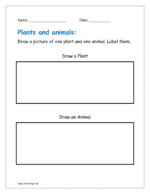 Plants and animals worksheet PDF | Planetspin.in