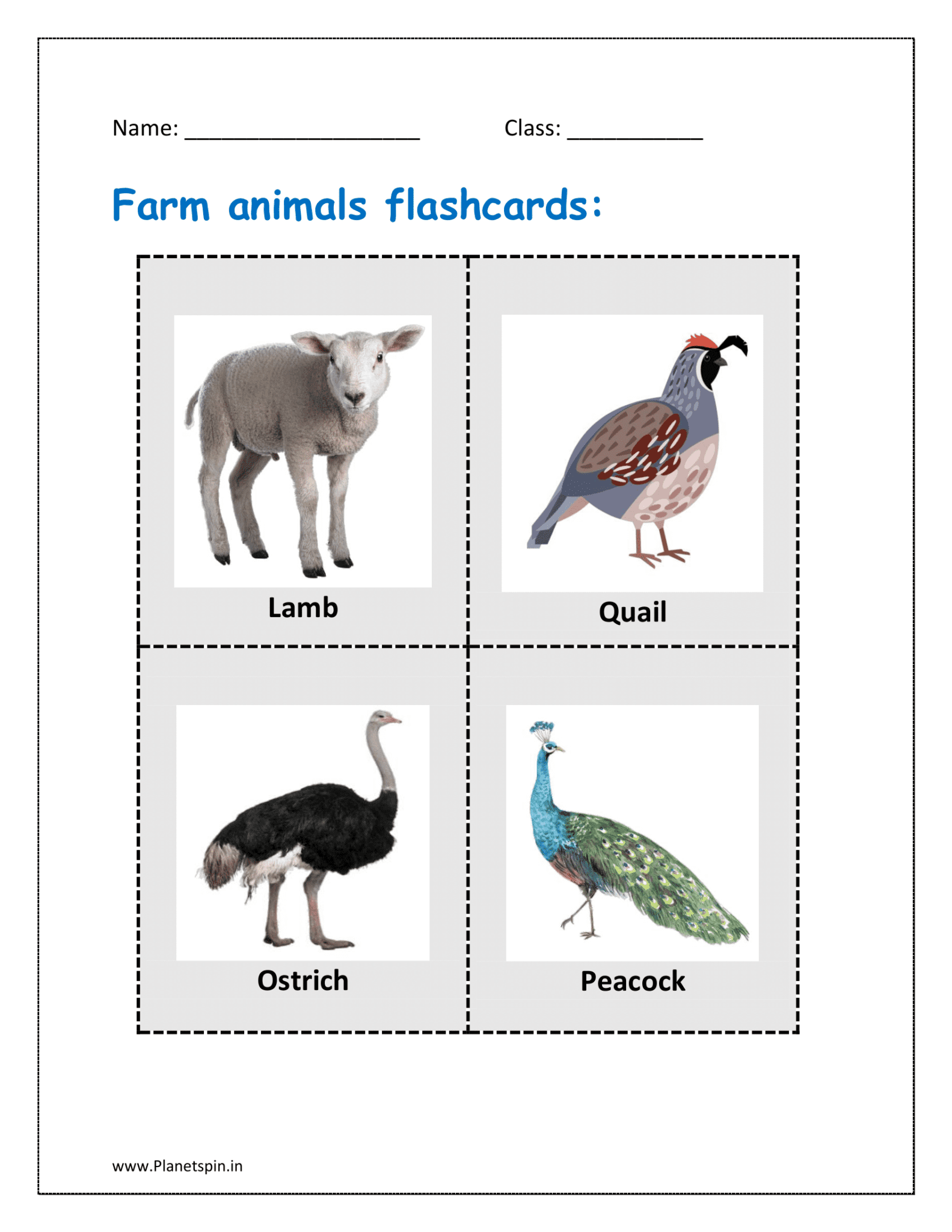Farm animals flashcards PDF | Planetspin.in