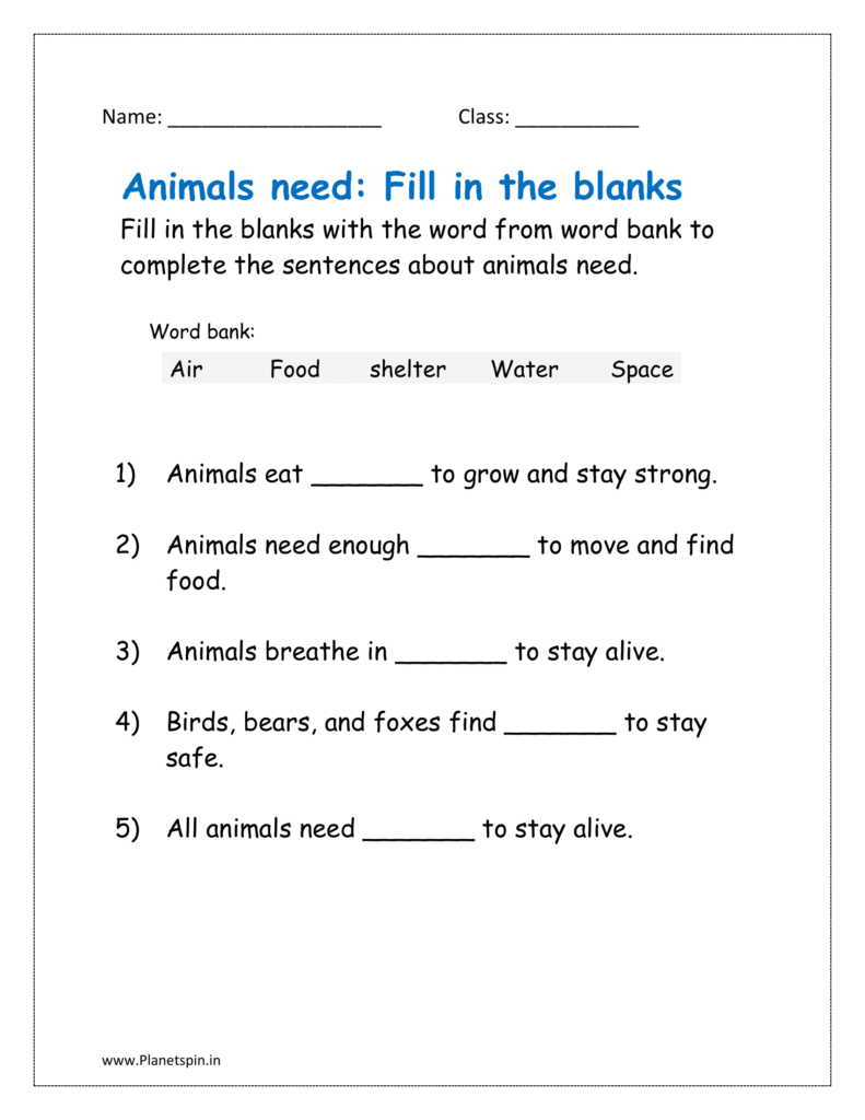 Animal needs worksheet for kindergarten | Planetspin.in