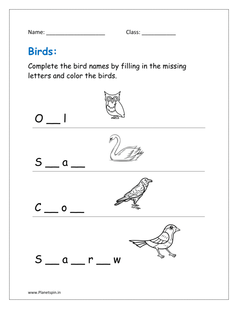 Birds worksheet for kindergarten PDF | Planetspin.in