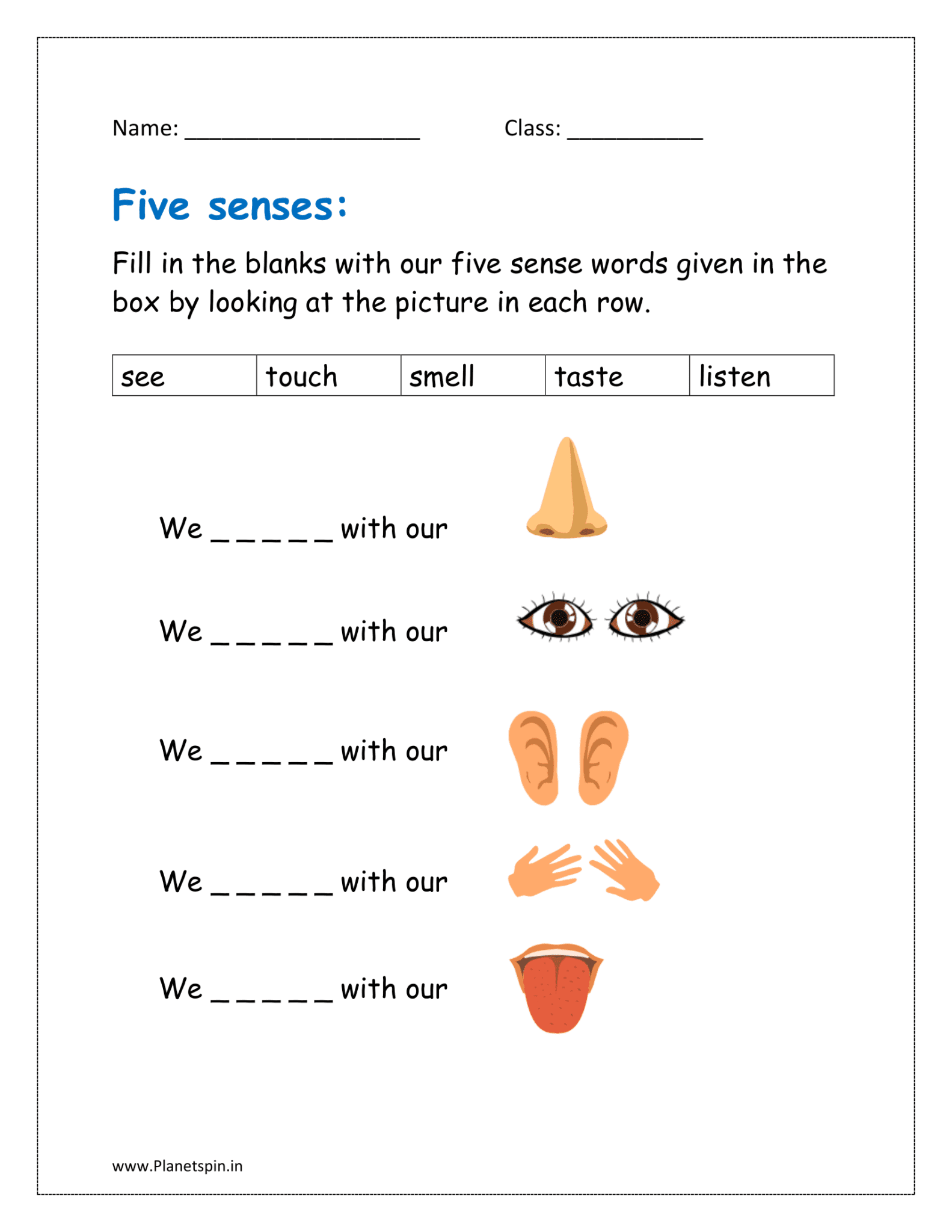 Sense organs worksheet for kindergarten pdf | Planetspin.in