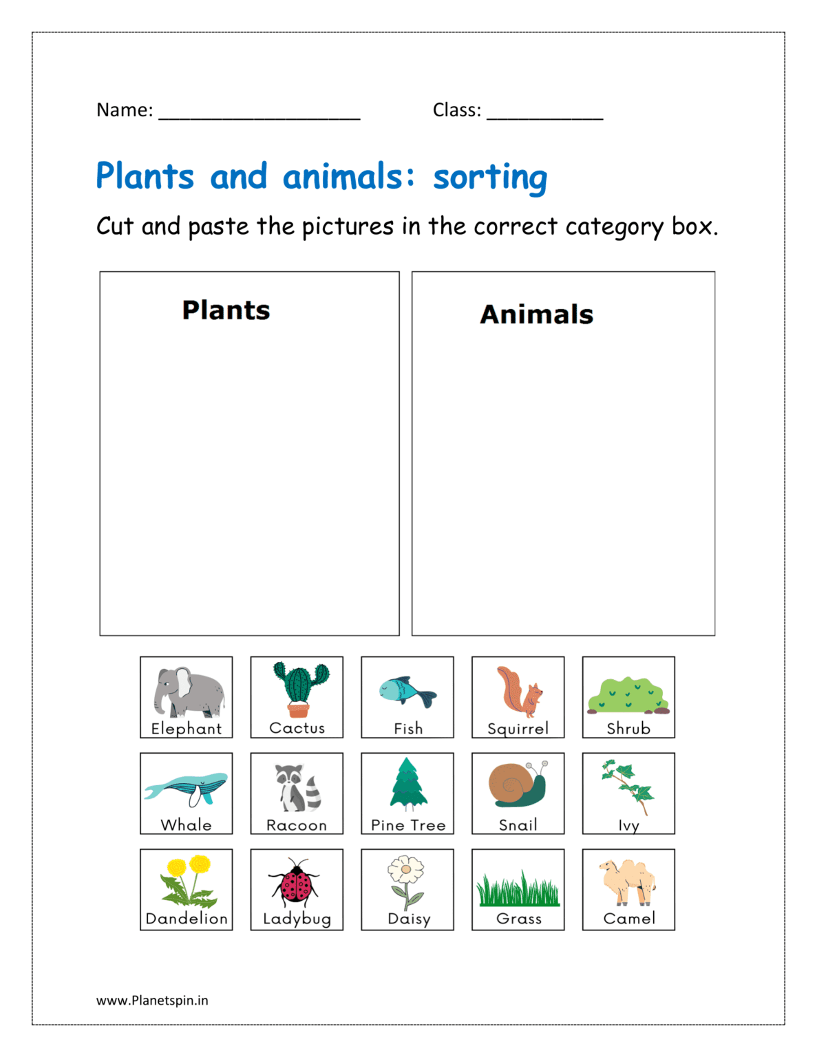 Plants and animals worksheet PDF | Planetspin.in