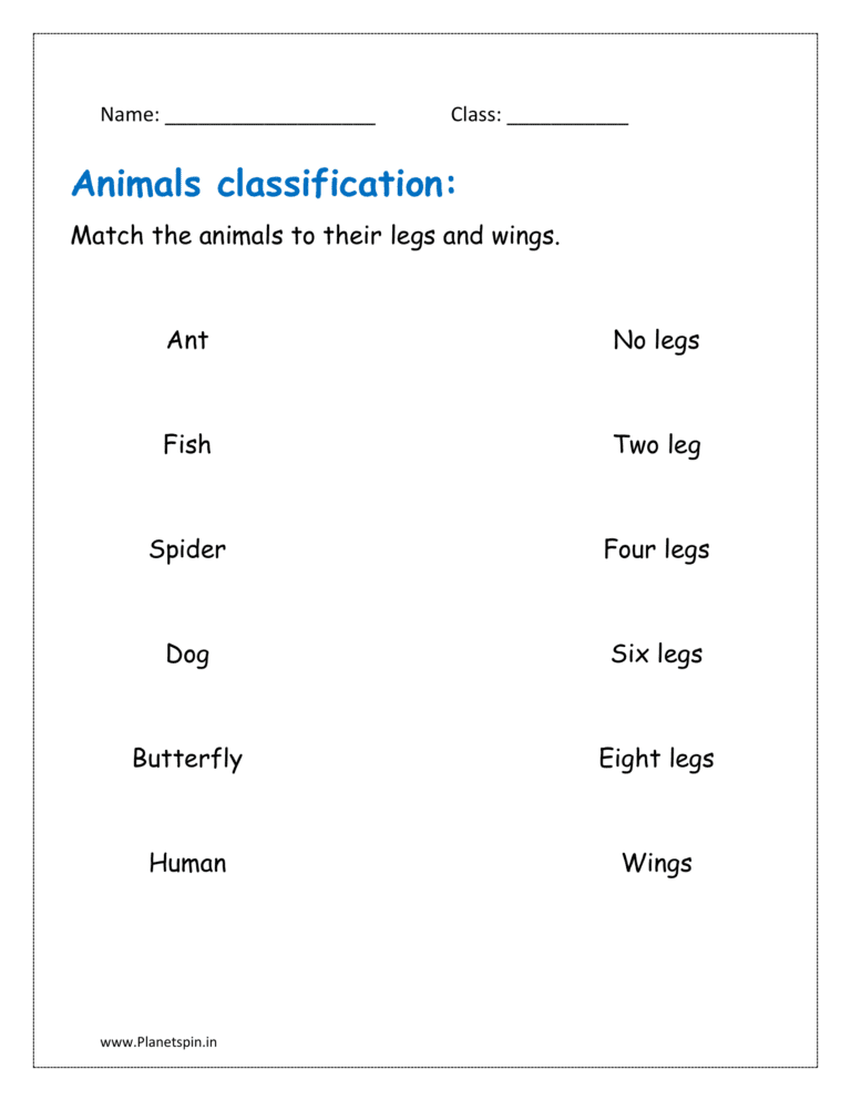 Animals and their legs worksheet for grade 1