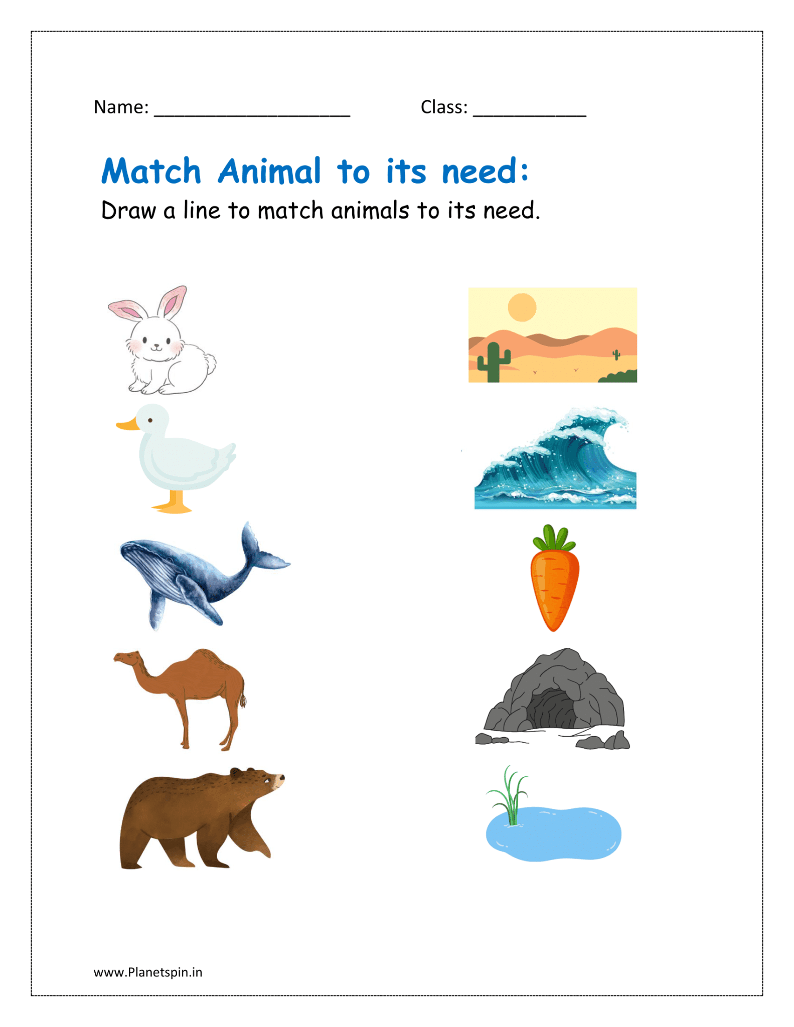 Animal needs worksheet for kindergarten | Planetspin.in