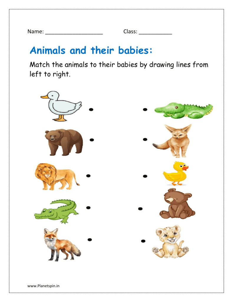 Animal needs worksheet for kindergarten | Planetspin.in