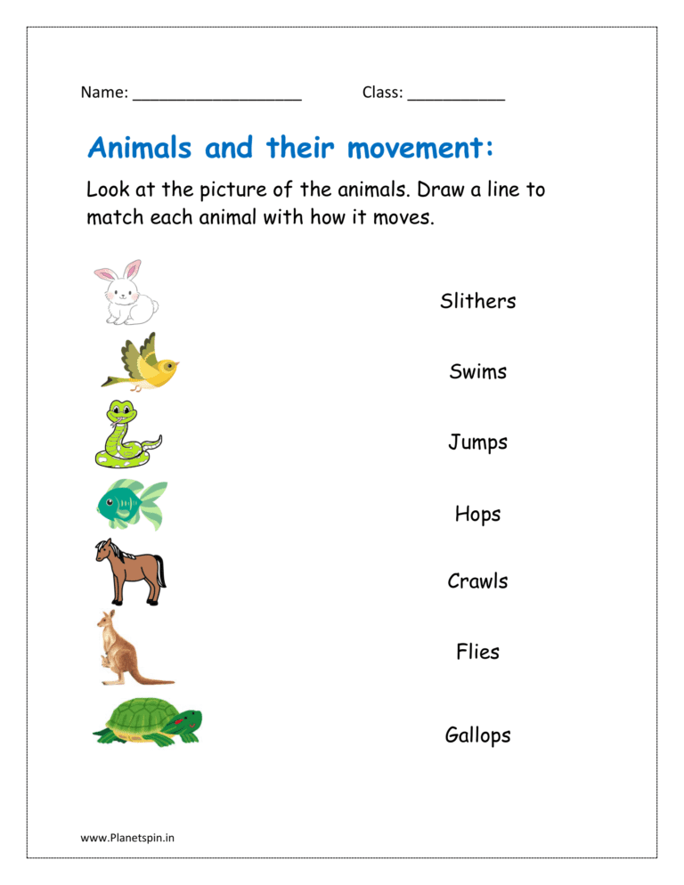 Adaptation of animals worksheet for kindergarten | Planetspin.in