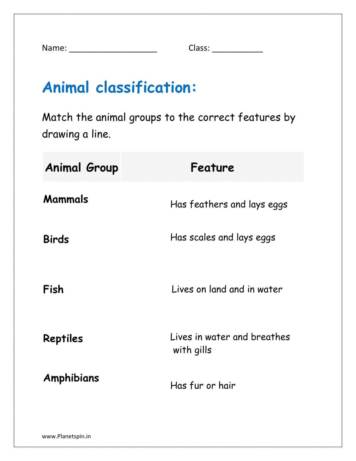 Mammal reptile amphibian bird fish worksheet | Planetspin.in