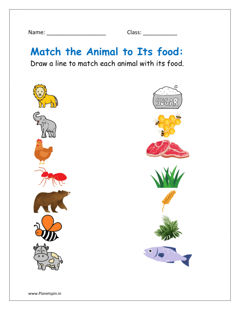 Animal needs worksheet for kindergarten | Planetspin.in