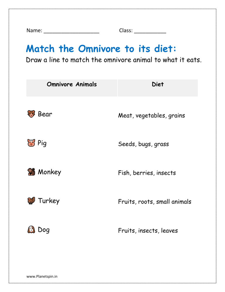 Omnivores worksheet for grade 1 pdf free | Planetspin.in