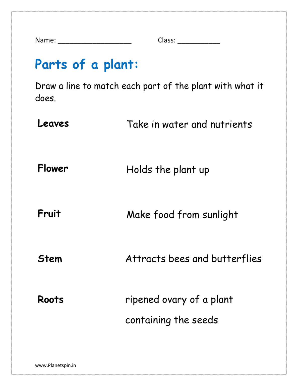 Parts of Plants worksheet for Kindergarten | Planetspin.in
