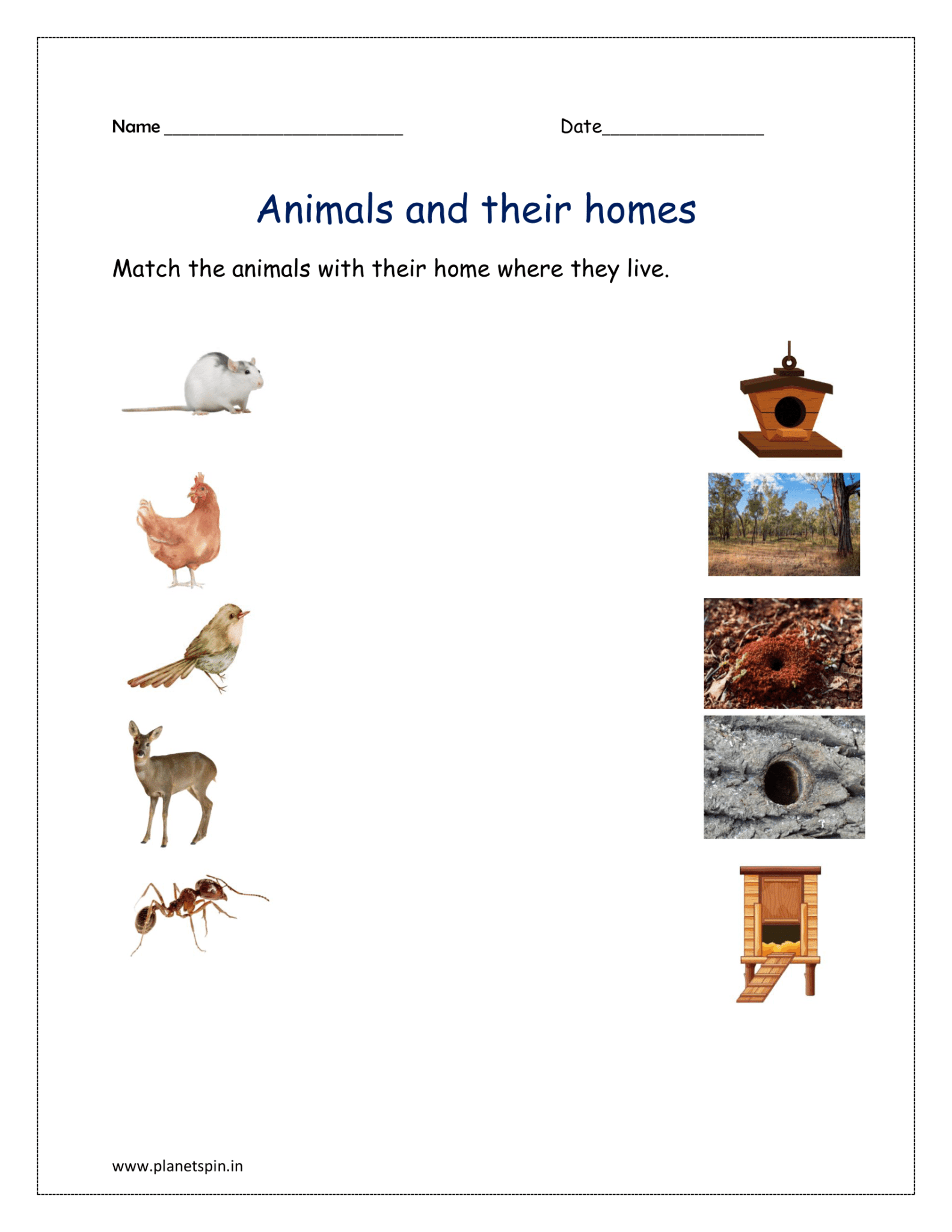Animals and their homes worksheets PDF | Planetspin.in