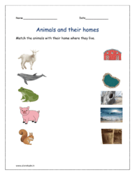 Animals and their homes worksheets PDF | Planetspin.in