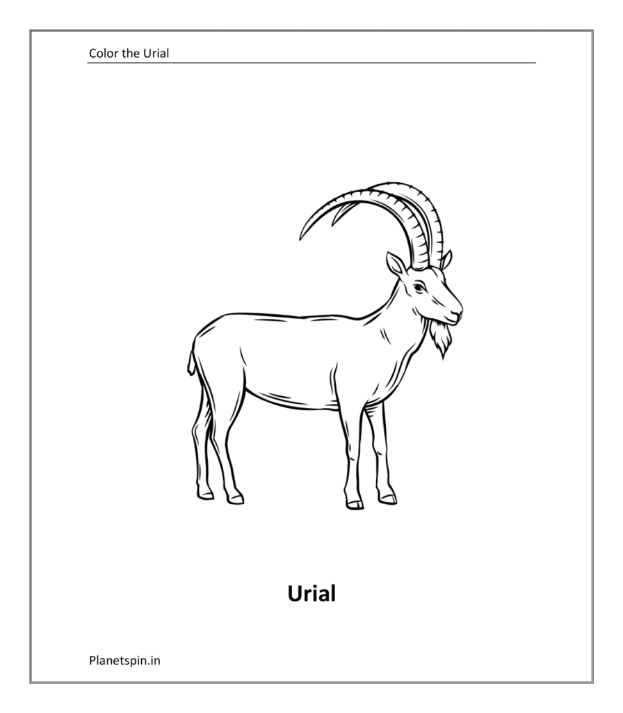 Printable wild animal coloring pages | Planetspin.in