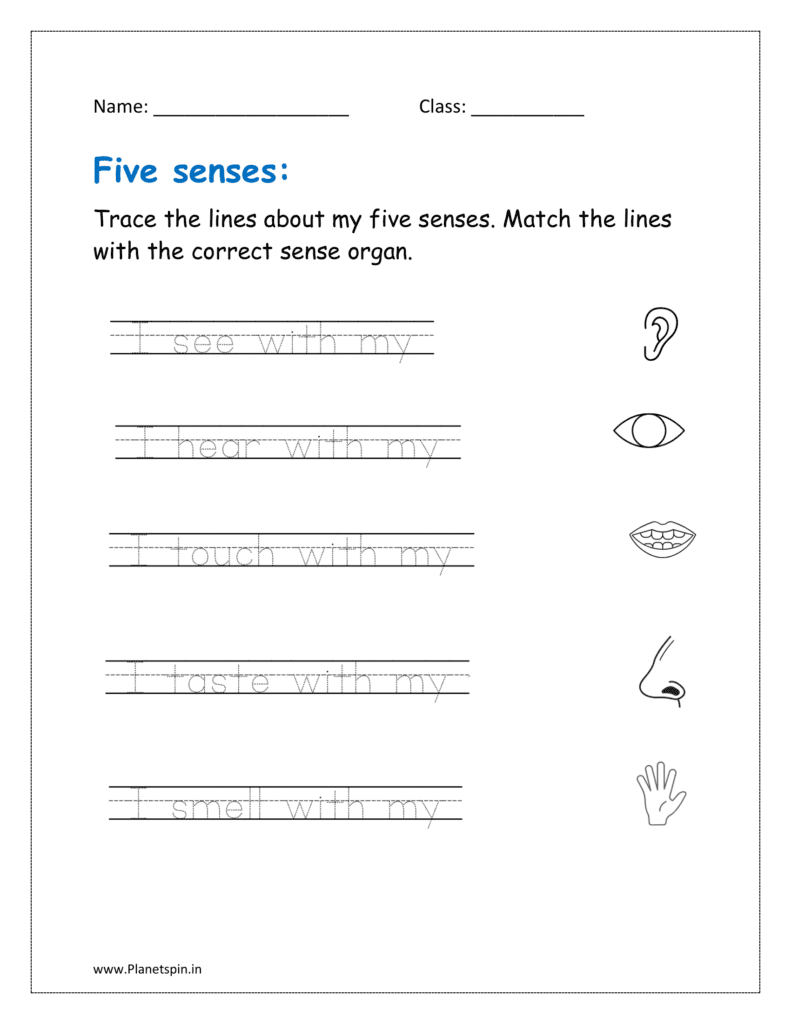 Sense Organs Worksheet For Kindergarten Pdf