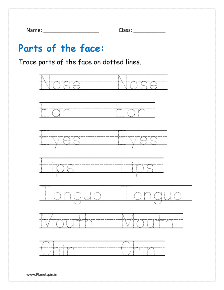 Parts of the face worksheet for grade 1 | Planetspin.in