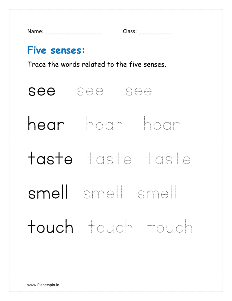 Sense organs worksheet for kindergarten pdf | Planetspin.in