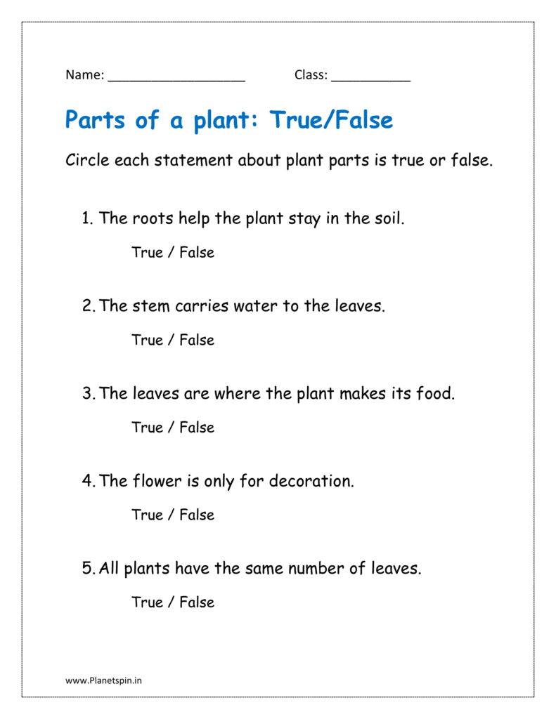 Parts of Plants worksheet for Kindergarten | Planetspin.in