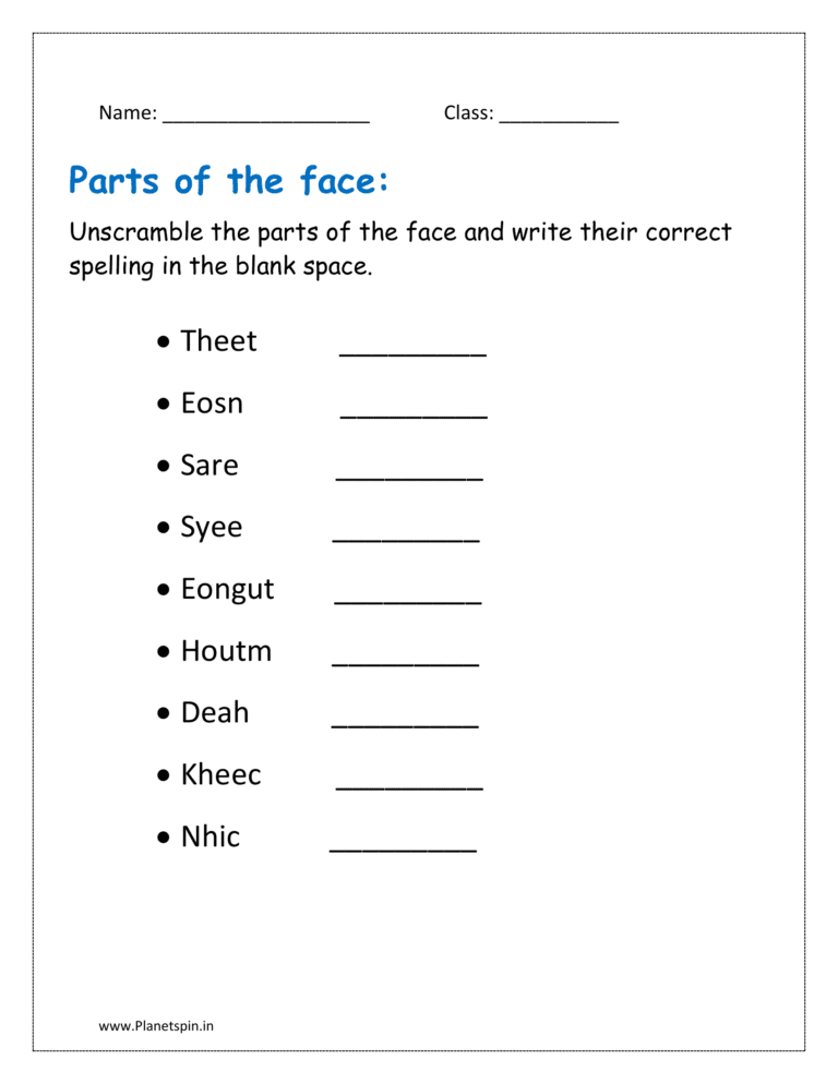 Parts of the face worksheet for grade 1 | Planetspin.in
