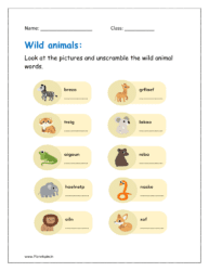 Write animals name worksheet for kindergarten | Planetspin.in