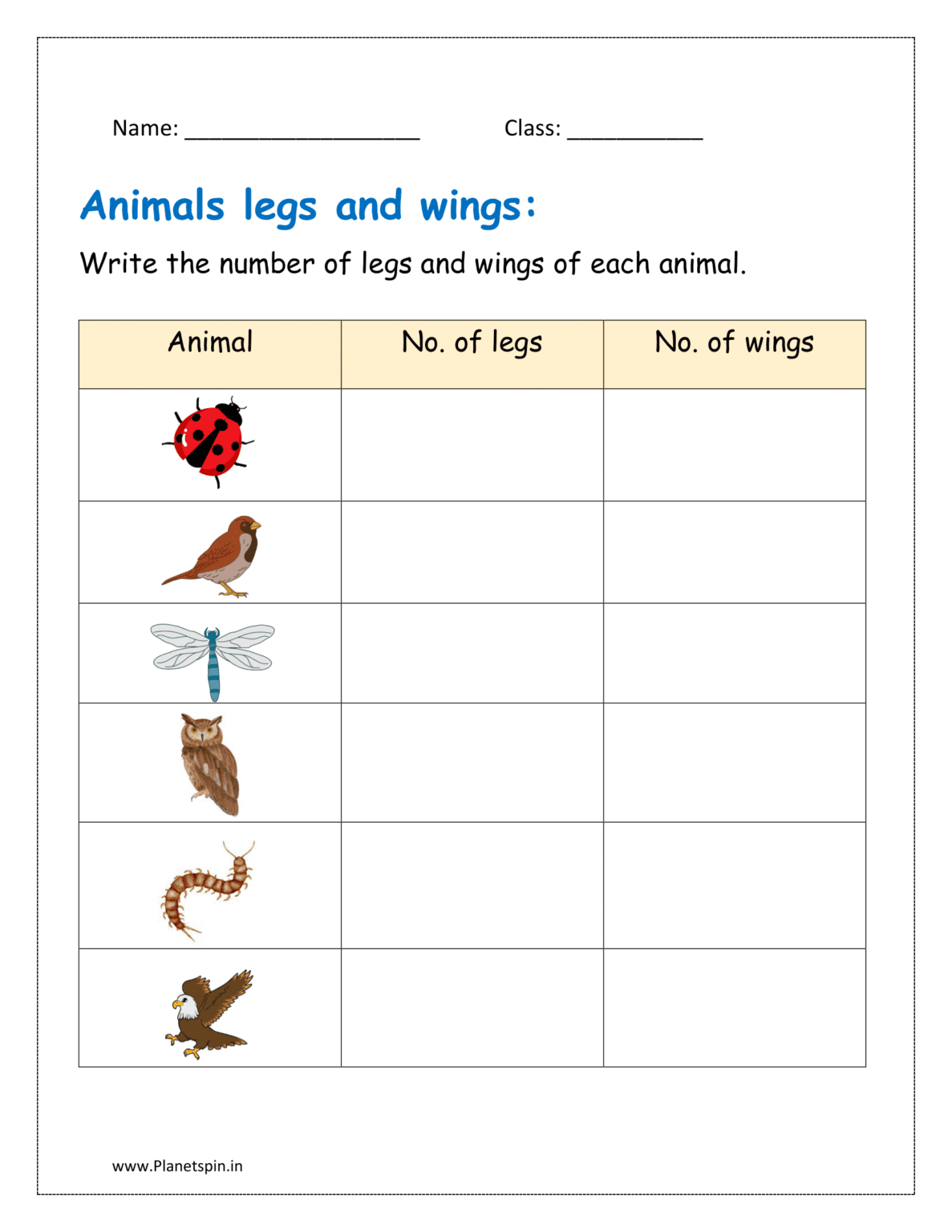 Animals and their legs worksheet for grade 1