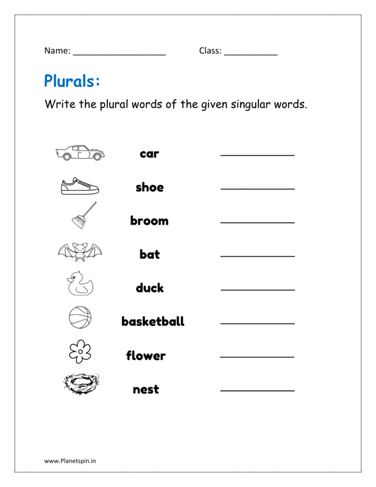 Singular and plural words worksheet | Planetspin.in